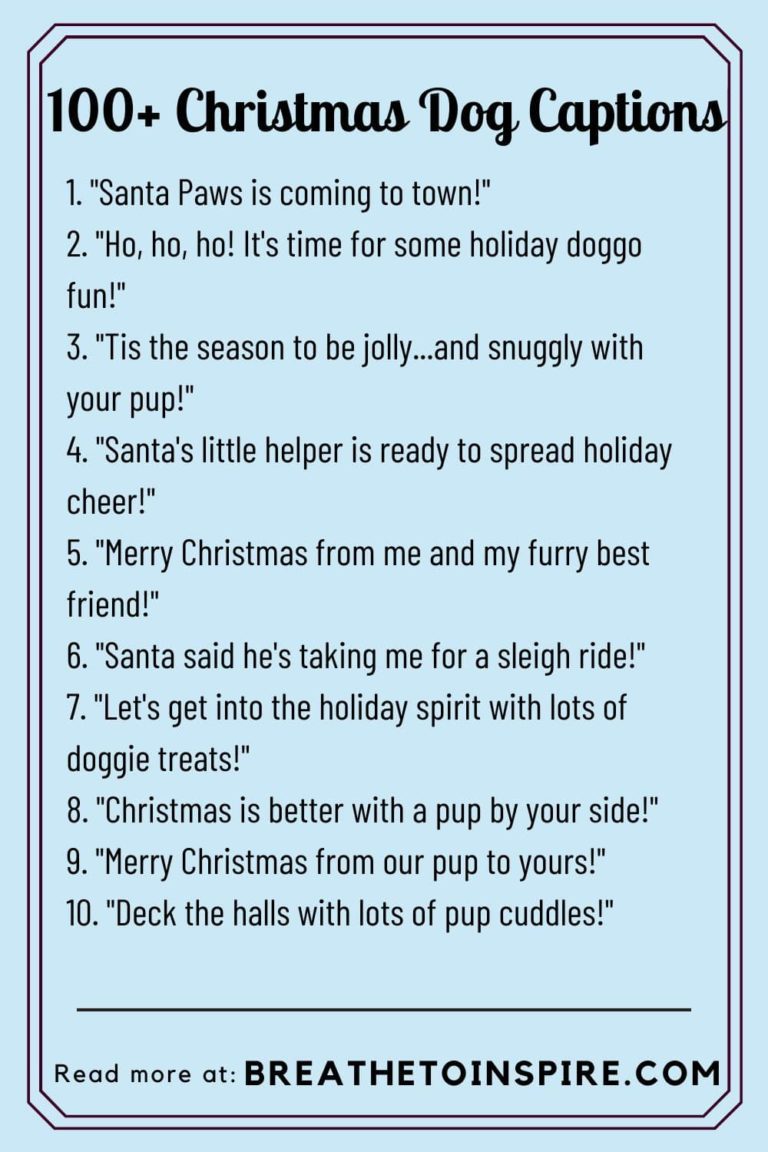 600+ Christmas Captions (Ultimate Holiday Edition - 2023) - Breathe To ...