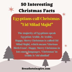 50 Christmas Facts About History, Fun Holiday Traditions All Around The ...