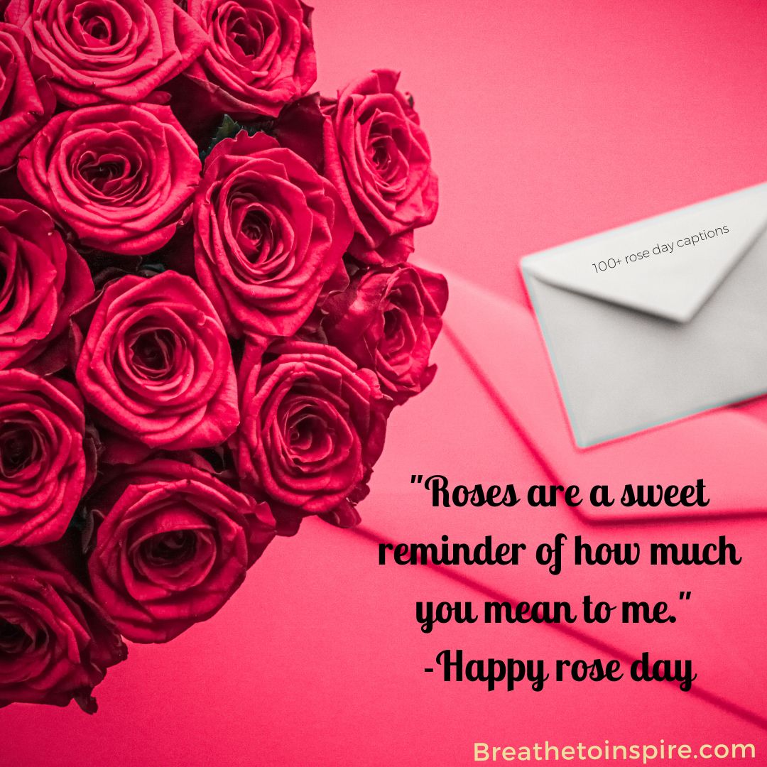 150+ Rose Day Quotes, Wishes, Messages, Activities, Greetings, Jokes ...