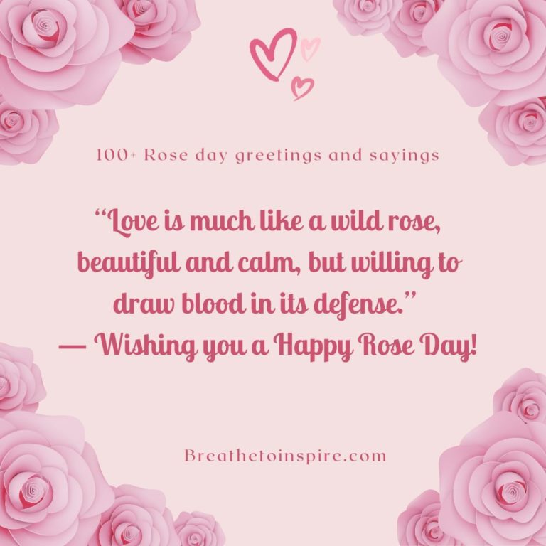 150+ Rose Day Quotes, Wishes, Messages, Activities, Greetings, Jokes ...