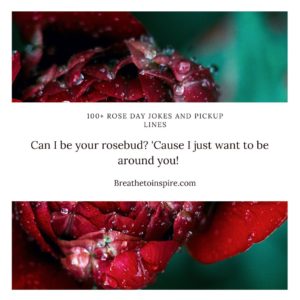 150+ Rose Day Quotes, Wishes, Messages, Activities, Greetings, Jokes ...