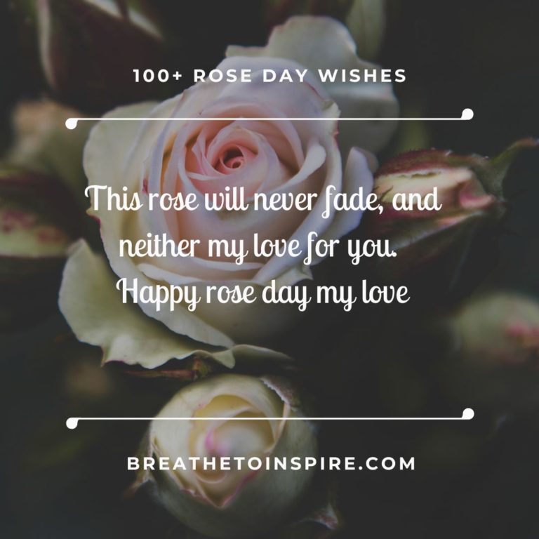 150+ Rose Day Quotes, Wishes, Messages, Activities, Greetings, Jokes ...