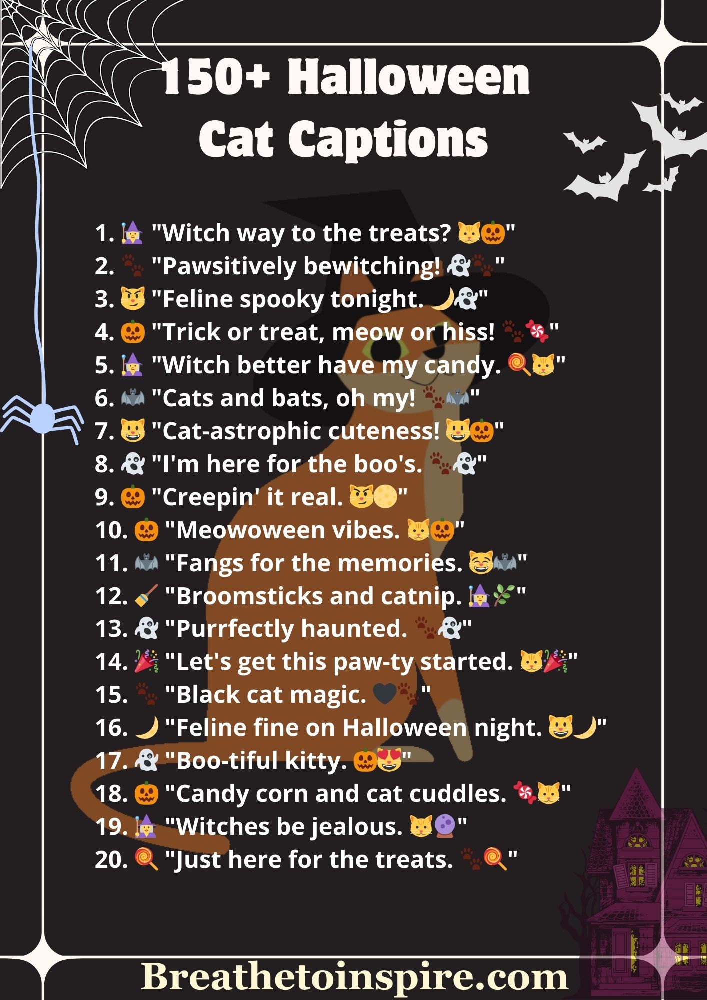130+ Purr-fect Cat Halloween Captions (from Black Cat To Witch Cat ...